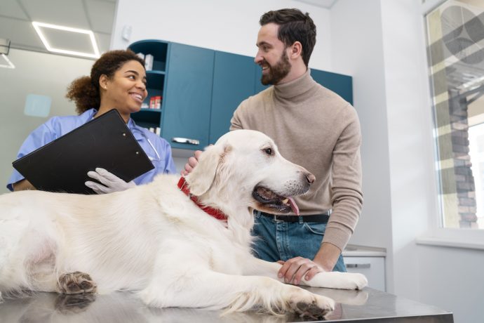 Cuidados com cães: dicas essenciais para a saúde e bem-estar do seu pet